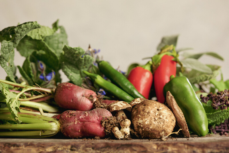 How to Extend Your Growing Season with Fall Garden Planning - Bobs ...